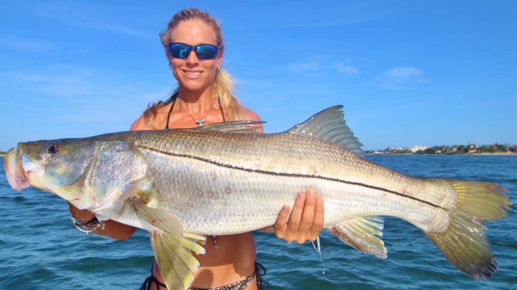 PHOTOS - Get Your Daily Fix of Fishing With Darcizzle - Darcizzle Offshore