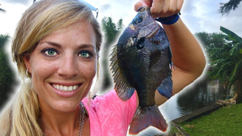 Videos Archives - Page 13 of 18 - Darcizzle Offshore