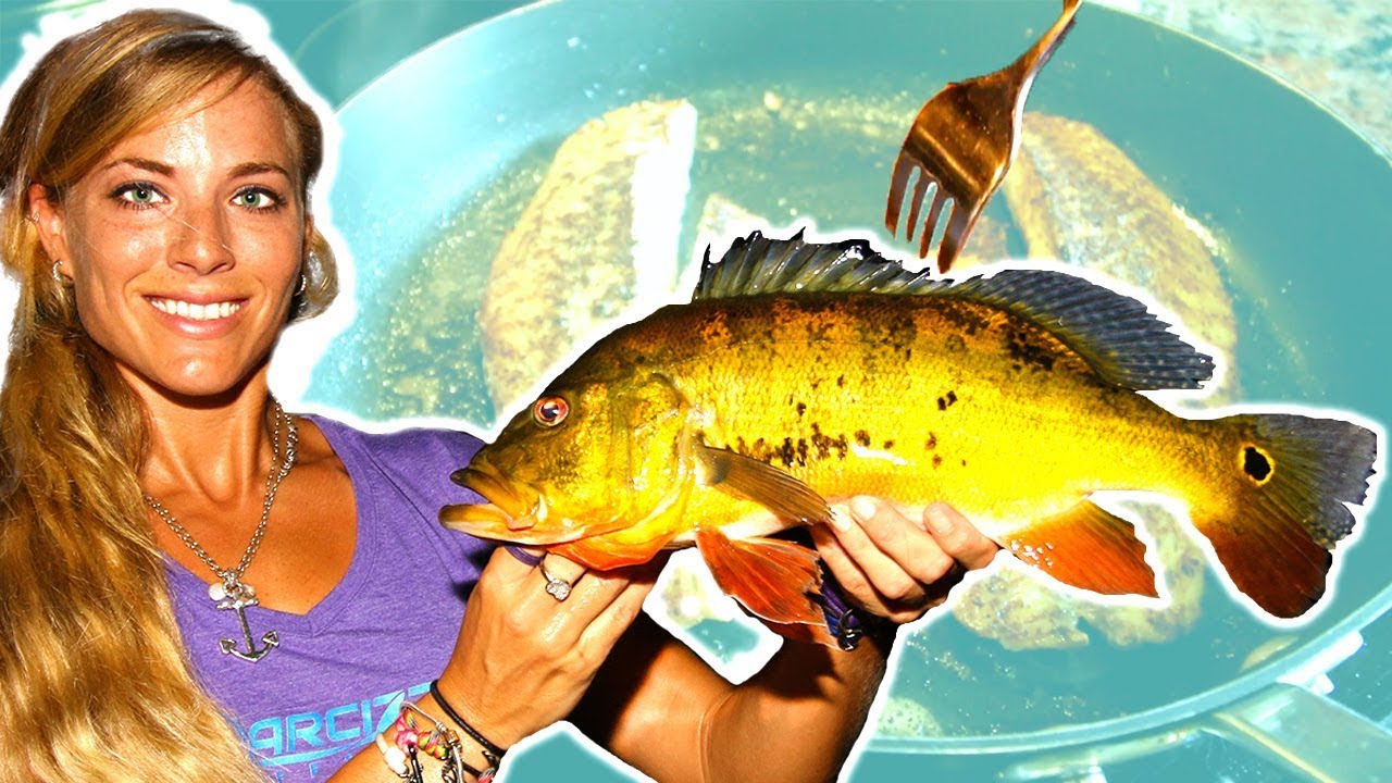 Catch and Cook PEACOCK BASS From My BACKYARD! - Darcizzle Offshore