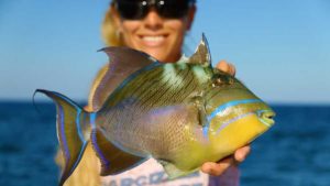 PHOTOS (46) - Warm Up With These 46 Photos of Darcizzle - Darcizzle ...