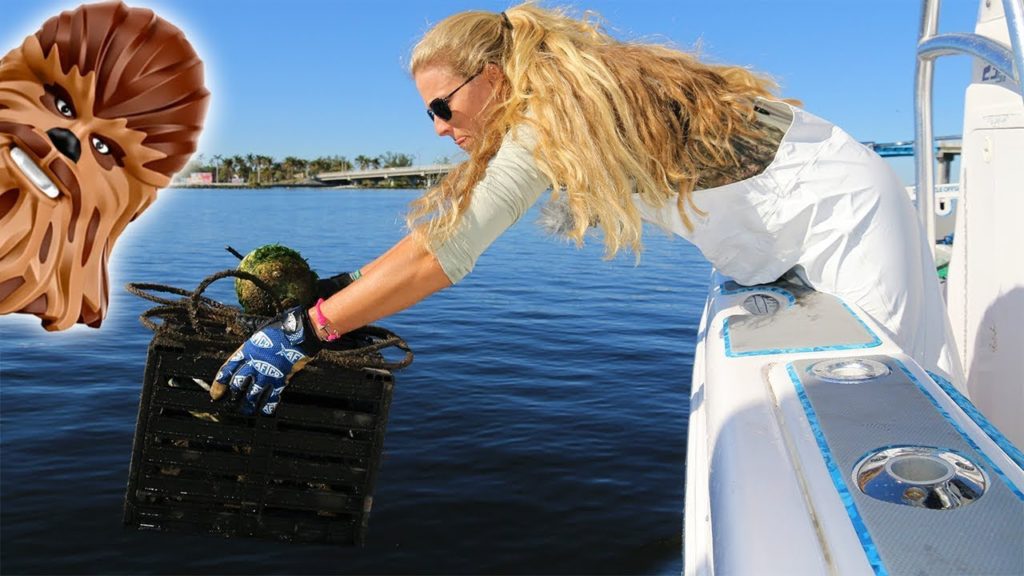 Bikini Bowfishing & Fishing in Central Florida - Darcizzle Offshore