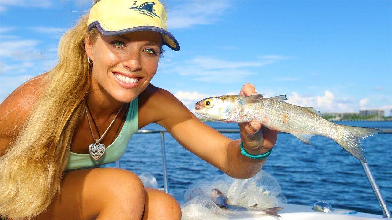 The SECRET Revealed! How To Catch BAIT FISH & Micro Fish Video ...