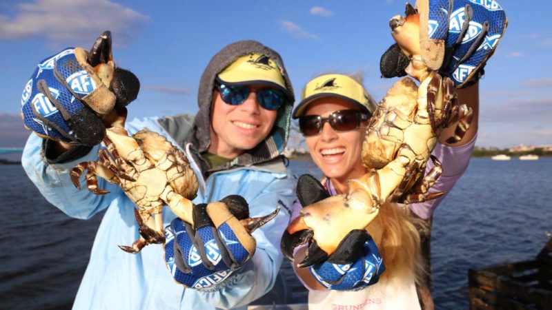 PHOTOS - Start Thursday Right with 43 Photos of Darcizzle! - Darcizzle ...