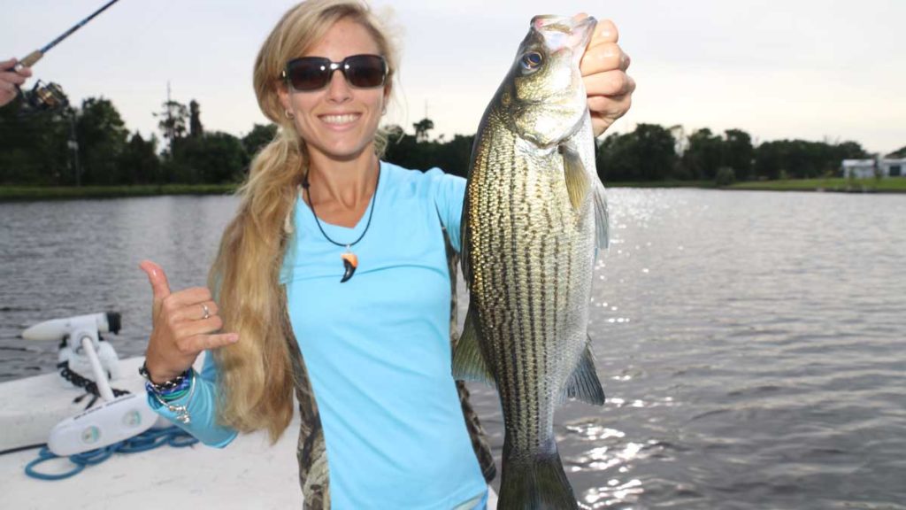 PHOTOS - Start Thursday Right with 43 Photos of Darcizzle! - Darcizzle ...