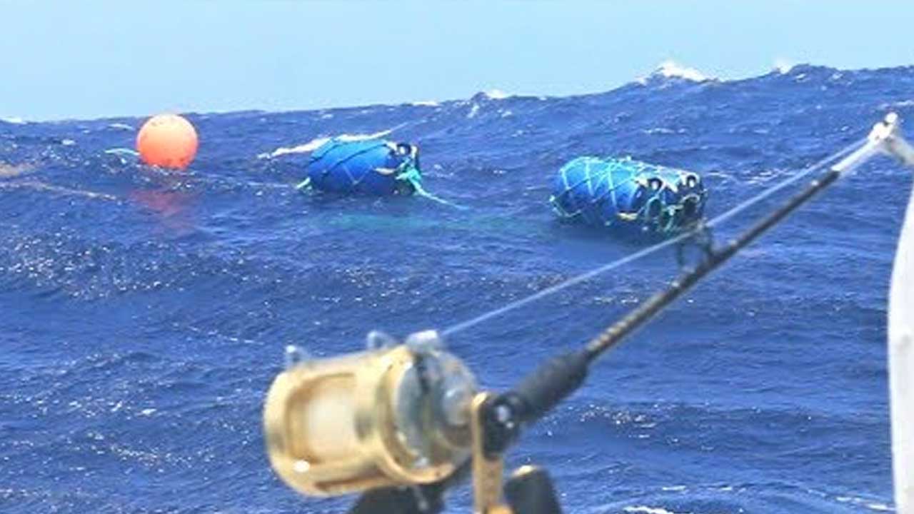 FOUND a LOST Fish Aggregating Device Deep Sea Fishing in Antigua! TONS ...