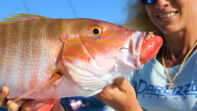 Darcizzle Offshore Photos of the Week - Darcizzle Offshore