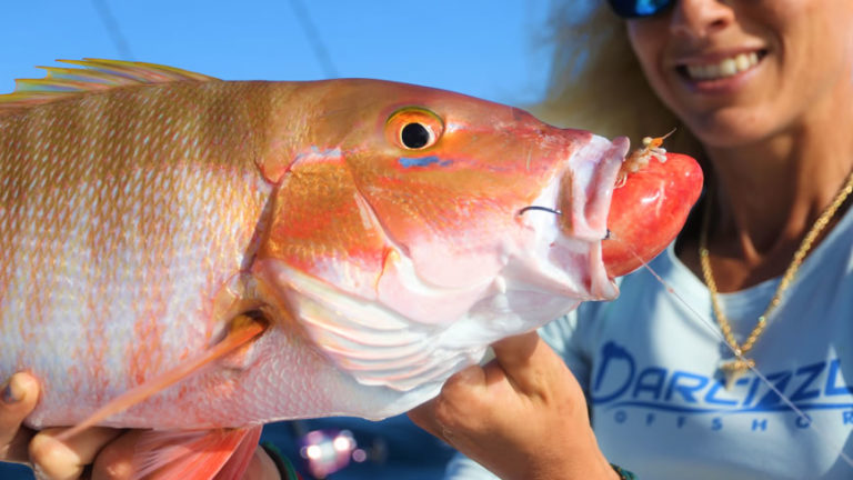 Darcizzle Offshore Photos of the Week - Darcizzle Offshore