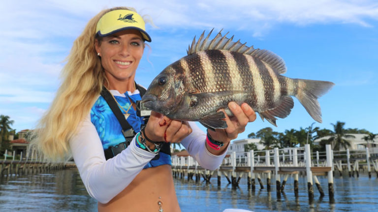 Darcizzle Offshore Photos of the Week - Darcizzle Offshore