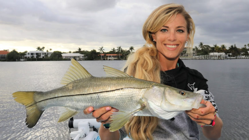 Darcizzle Offshore Photos of the Week - Darcizzle Offshore