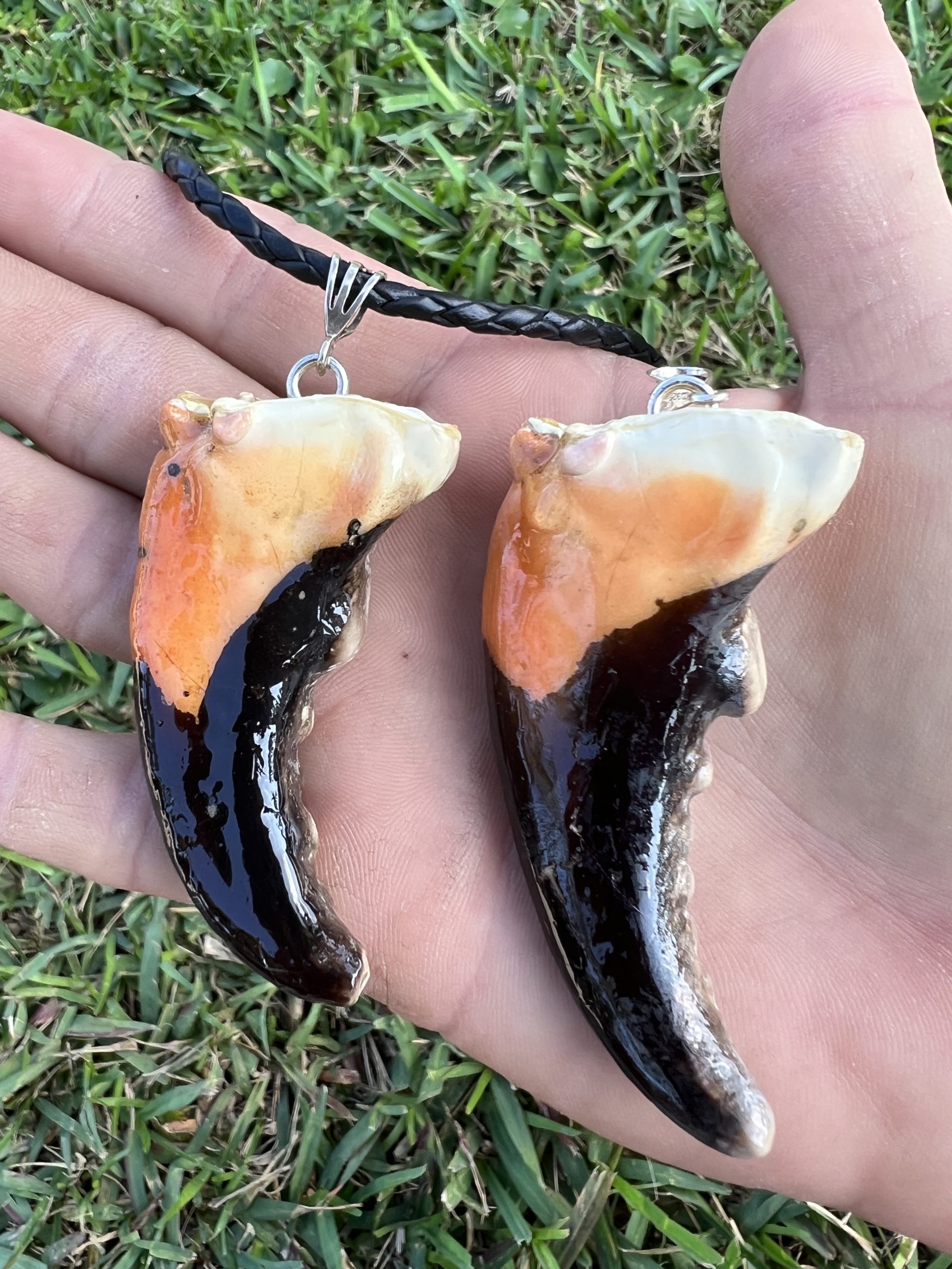 Stone Crab Claw Necklace- Colossal Claw - Darcizzle Offshore
